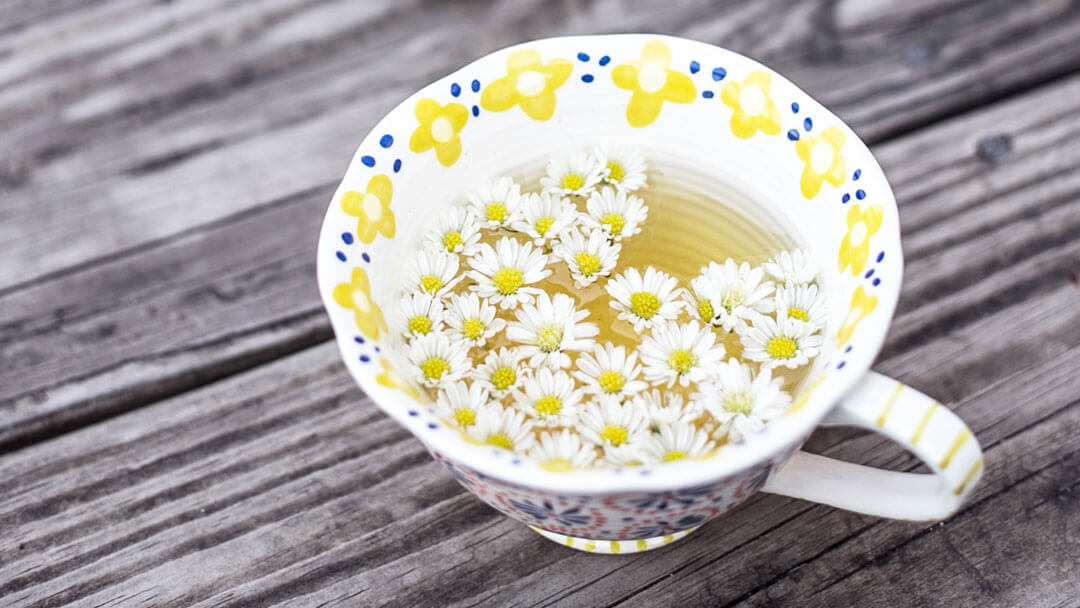 Papatya Nedir, Özellikleri Nelerdir? - Muhiku