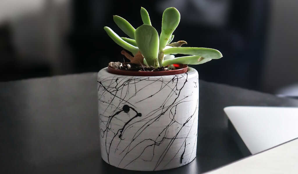 Modern Saksı Modelleri - 7 Farklı Kaktüs ve Sukulent Saksısı - Muhiku